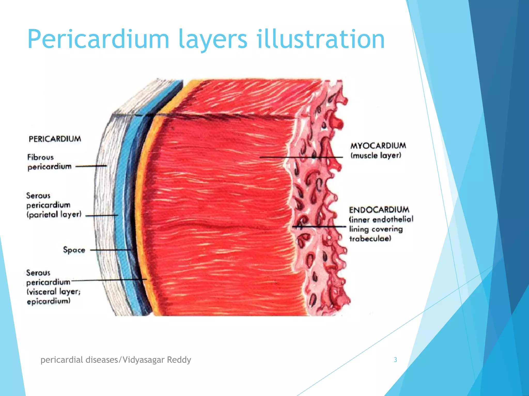 Pericardium & diseases | PPTX