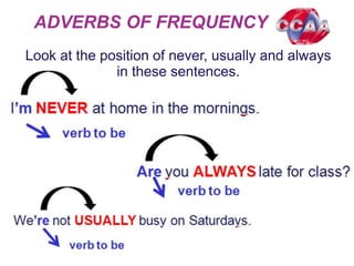 Pec2 lesson3 adverbs of frequency | PPT