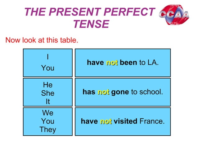 Pec5 lesson8 past participle the present perfect tense | PPT