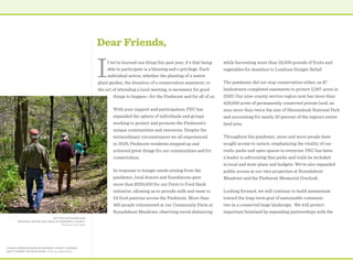 PEC Annual Report 2020 | PPT