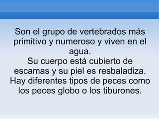 Peces | PDF