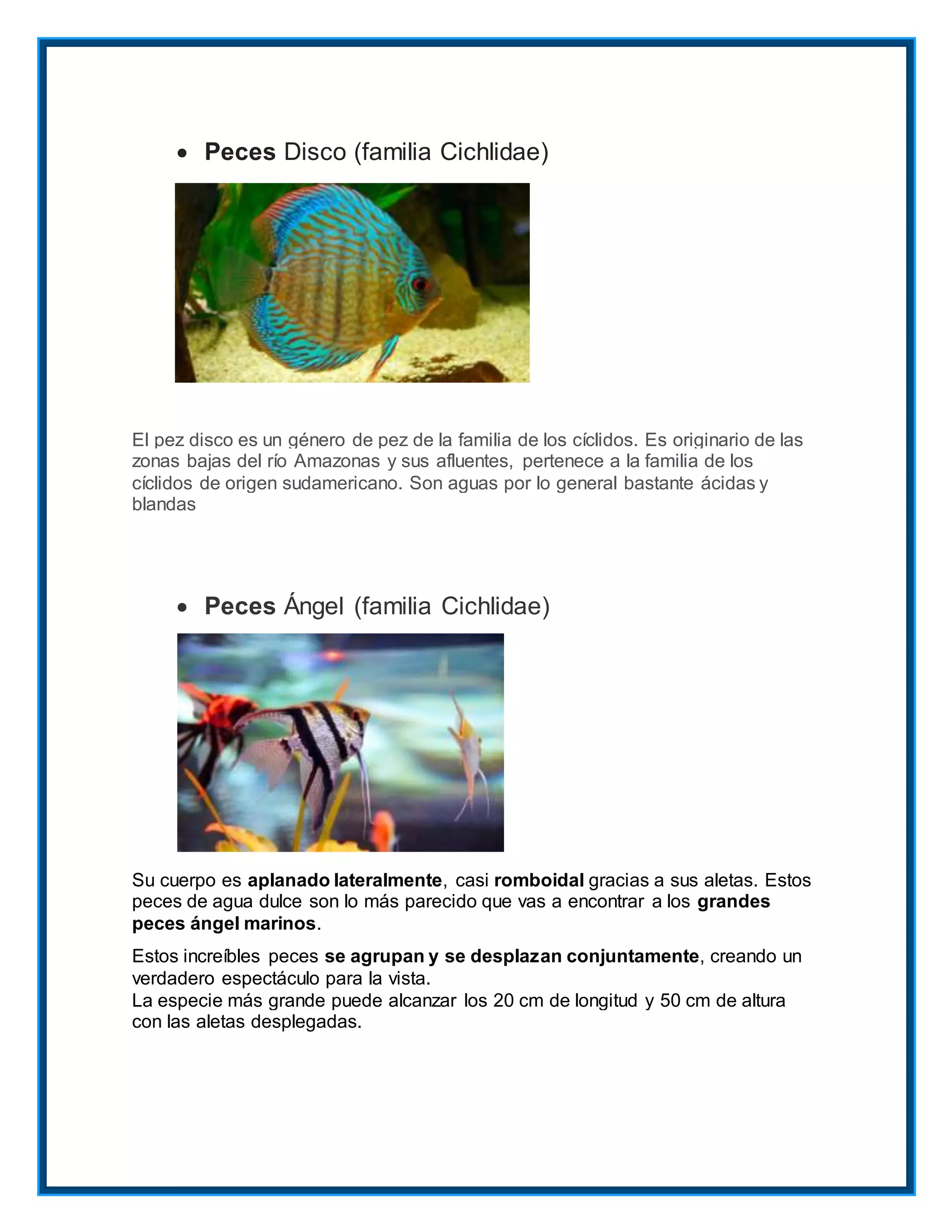 Especies de peces ornamentales de agua dulce | DOCX