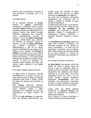 Guía instruccional de laboratorio 3. Los Peces | PDF