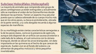 Peces cartilaginosos | PPTX