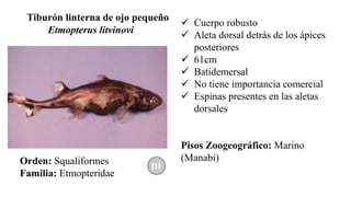 Peces condrictios del ecuador por Carlos Macas | PPTX