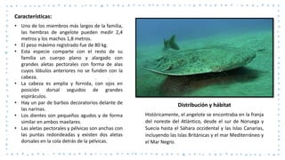 Peces condrictios y osteictios zoologia vertebrados expoo | PPTX