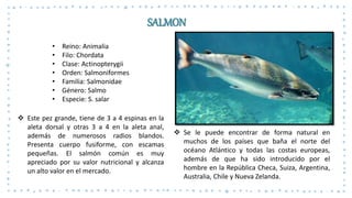 Peces condrictios y osteictios zoologia vertebrados expoo | PPTX