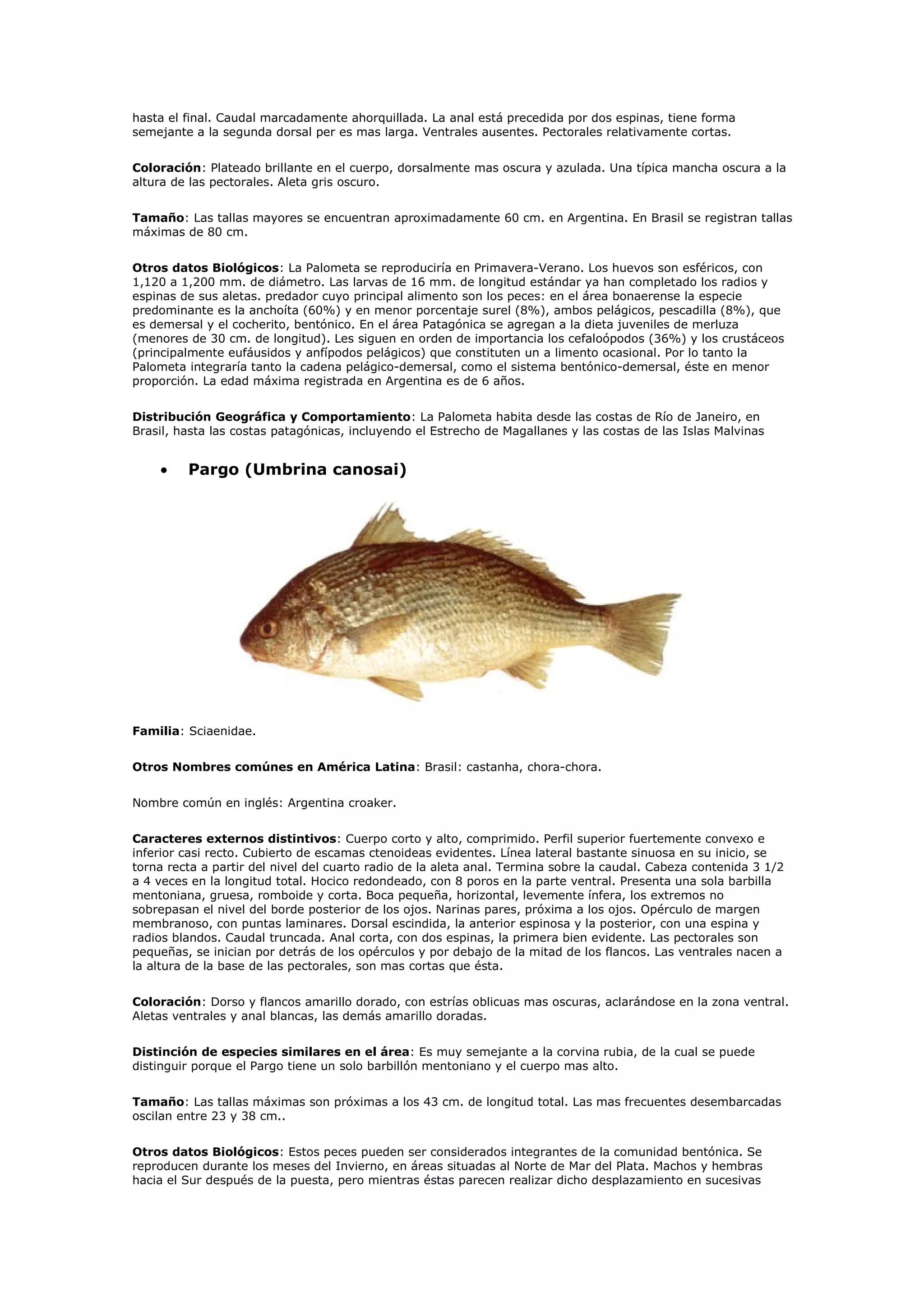 Peces Costeros Argentinos | DOC