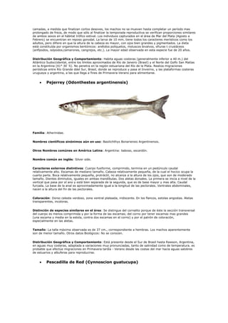 Peces Costeros Argentinos | DOC