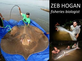 Pecha kucha | PPT | Fishing Sports | Sports