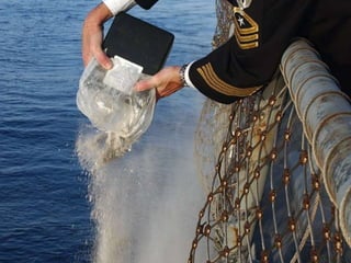 Daniel Barton Pecha Kucha | PPT