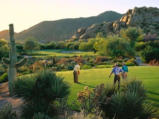 Daniel Barton Pecha Kucha | PPT