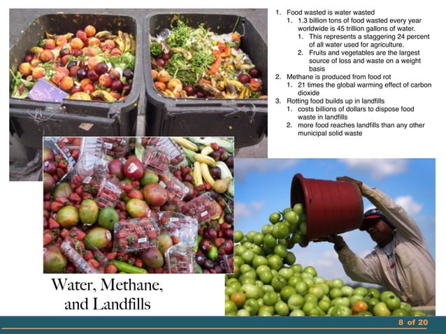 Food Waste, Food Insecurity, and Food Recovery (w/ notes) | PDF