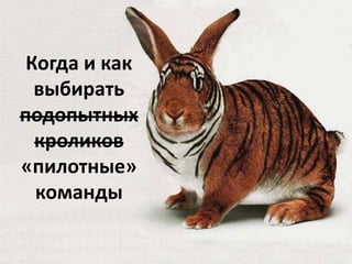 IT People Pecha-Kucha - Когда и как выбирать Пилотные Команды | PDF