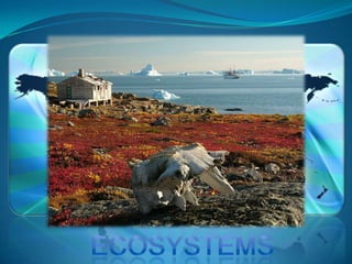 Pecha Kucha-Animals | PPTX