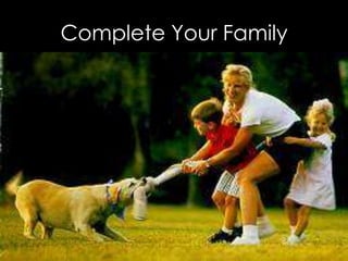 Treat Animals Well | PPTX | Dogs | Pets