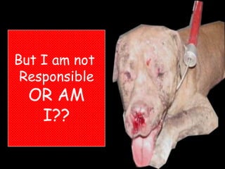 Treat Animals Well | PPTX | Dogs | Pets