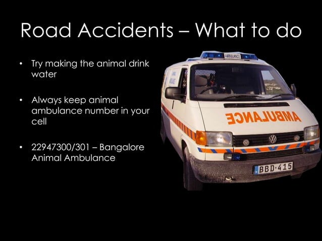 Treat Animals Well | PPTX | Dogs | Pets