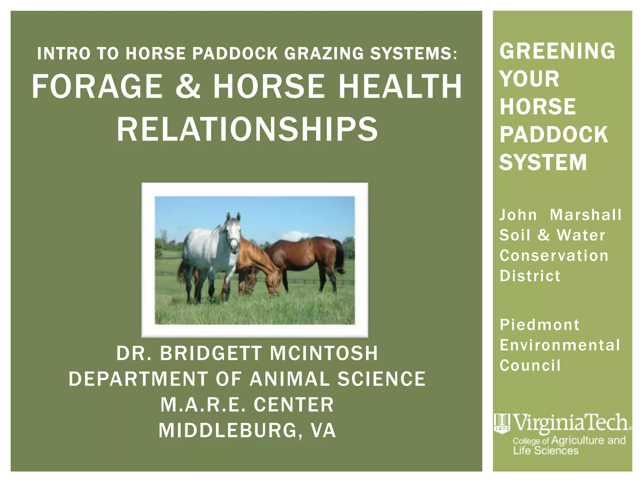 Introduction to Horse Paddock Grazing Systems by Dr. Bridgett McIntosh ...