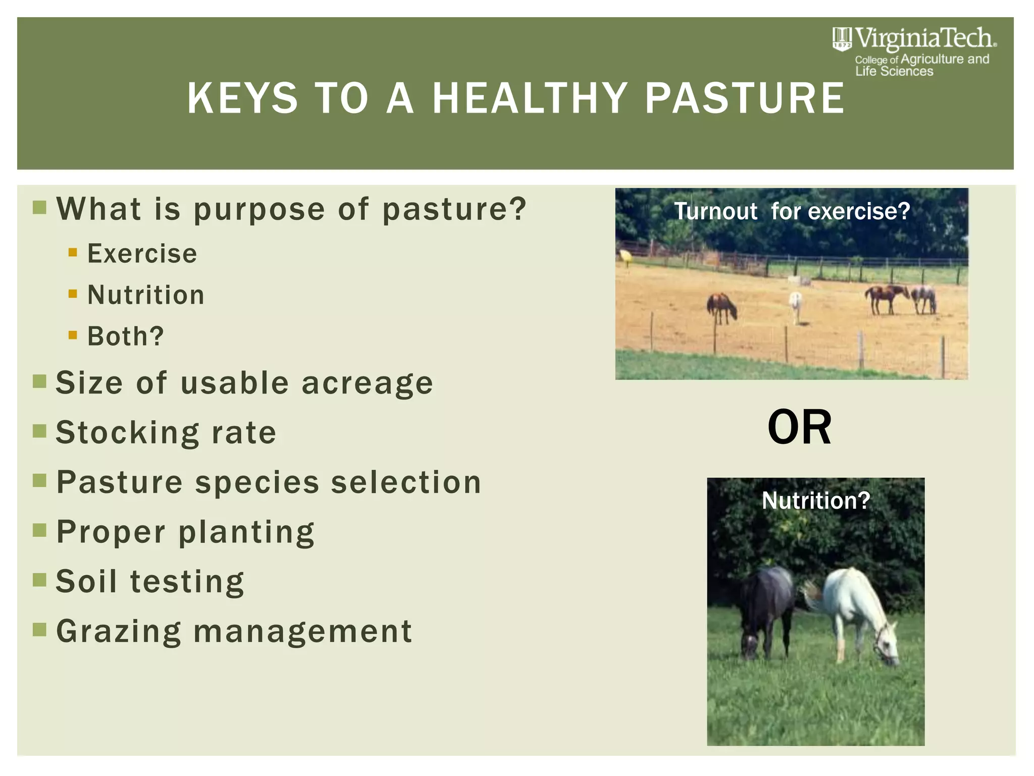 Introduction to Horse Paddock Grazing Systems by Dr. Bridgett McIntosh ...