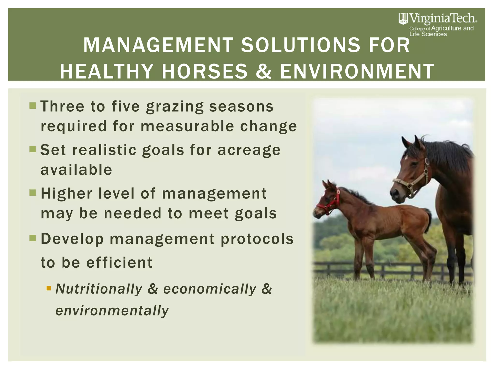 Introduction to Horse Paddock Grazing Systems by Dr. Bridgett McIntosh ...