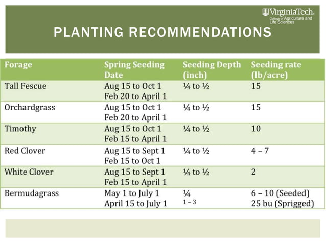 Introduction to Horse Paddock Grazing Systems by Dr. Bridgett McIntosh ...