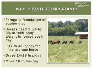 Introduction to Horse Paddock Grazing Systems by Dr. Bridgett McIntosh ...