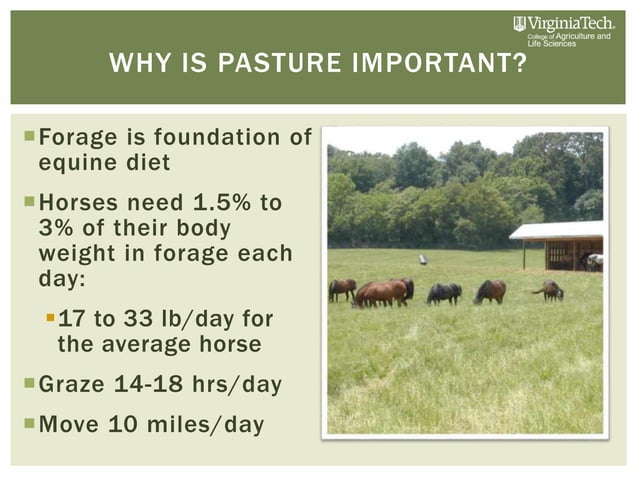 Introduction to Horse Paddock Grazing Systems by Dr. Bridgett McIntosh ...