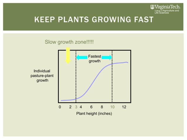 Introduction to Horse Paddock Grazing Systems by Dr. Bridgett McIntosh ...