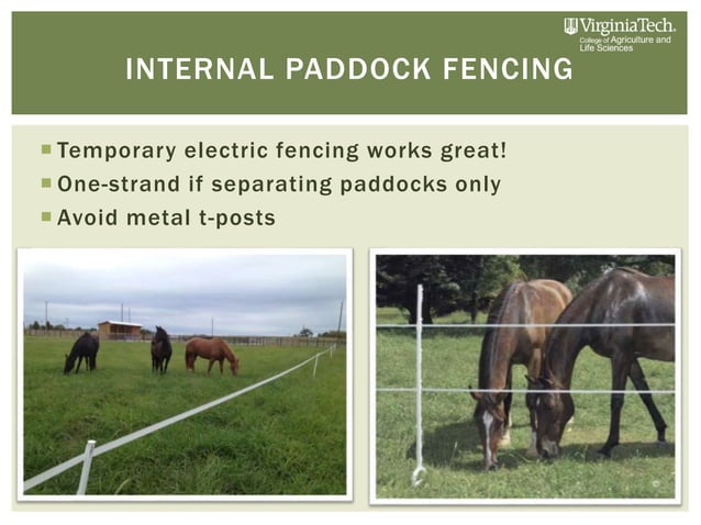 Introduction to Horse Paddock Grazing Systems by Dr. Bridgett McIntosh ...