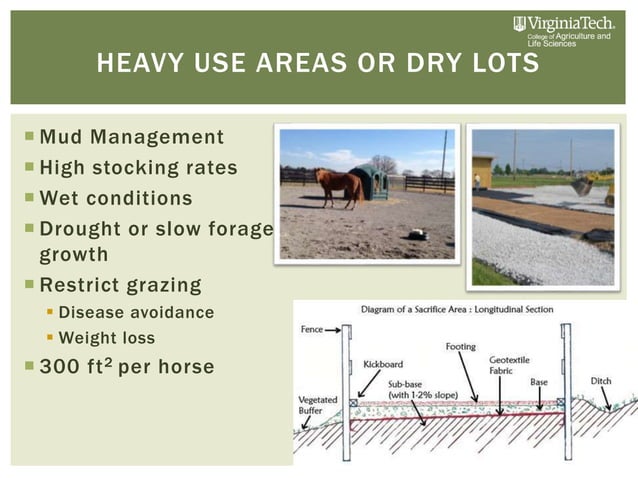 Introduction to Horse Paddock Grazing Systems by Dr. Bridgett McIntosh ...