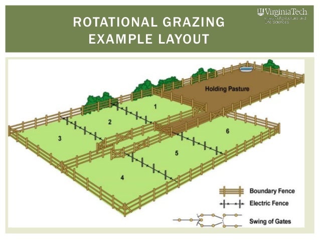 Introduction to Horse Paddock Grazing Systems by Dr. Bridgett McIntos…