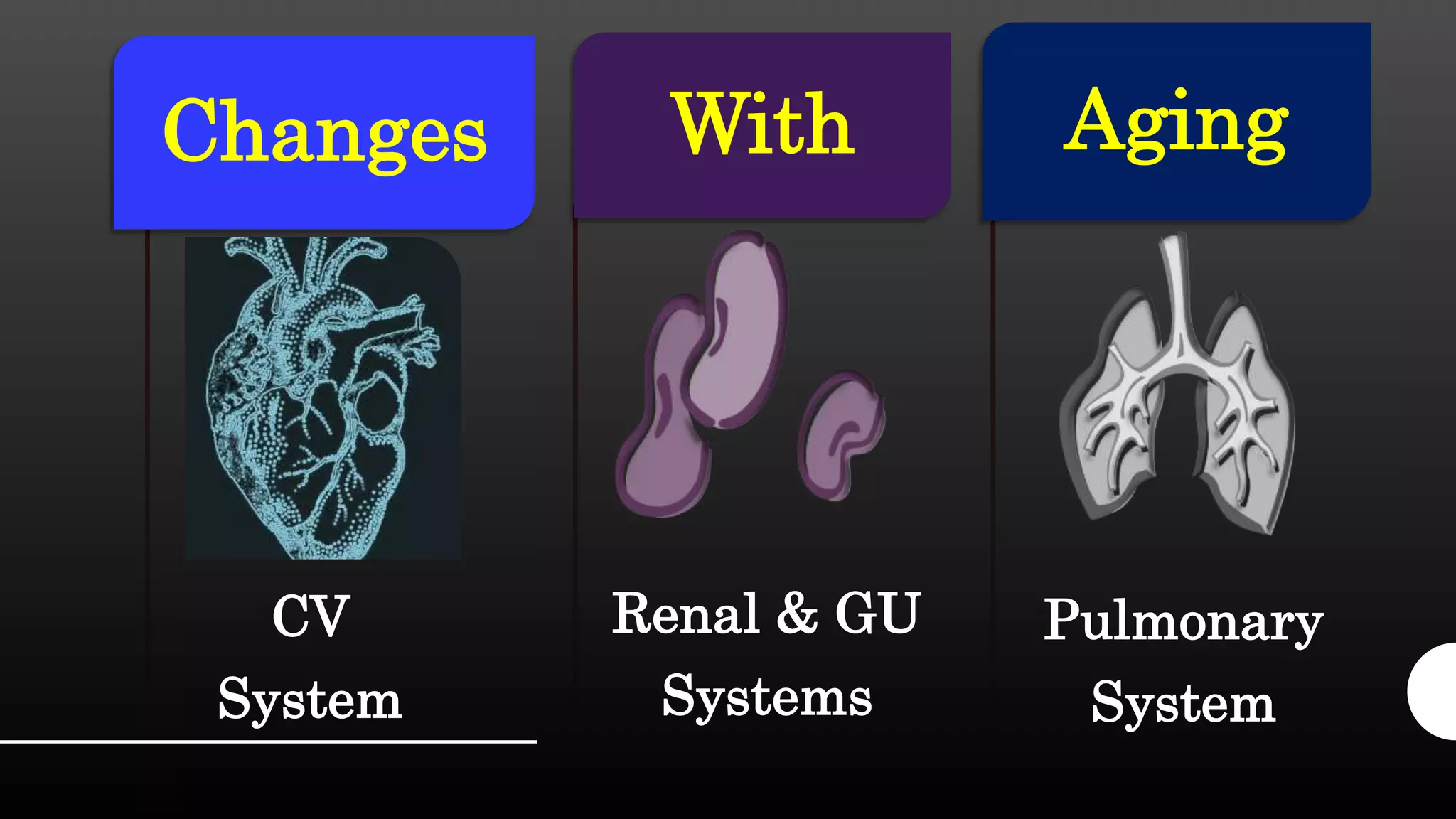 Peck trends in geriatric best practice for nursing care | PPT