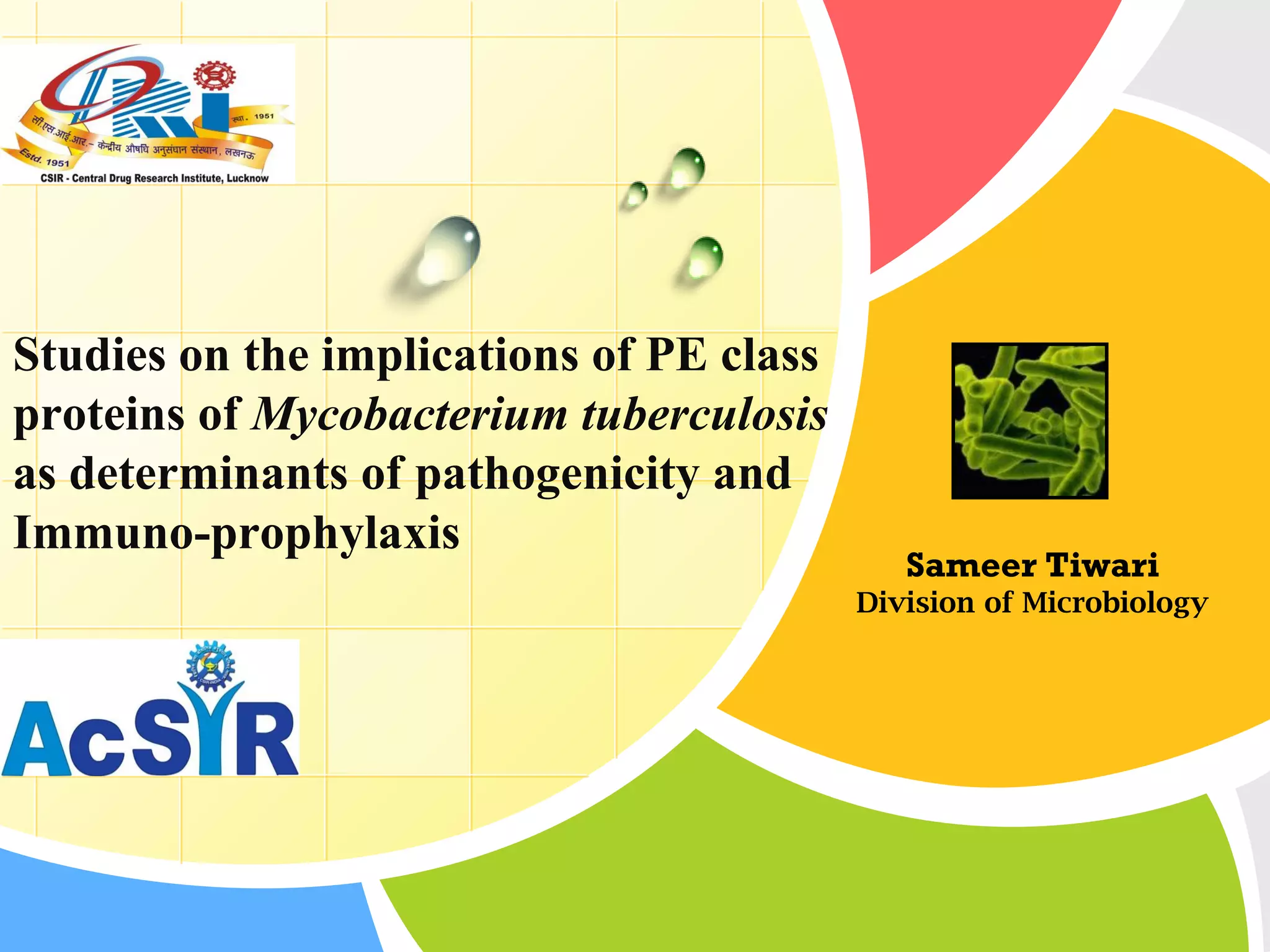 PE class proteins of M. tuberculosis | PDF