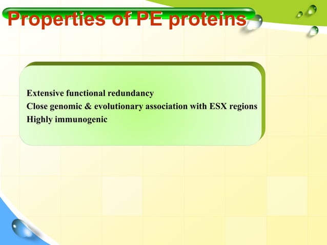 PE class proteins of M. tuberculosis | PPT