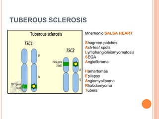 Perivascular Epithelioid Cell Tumors ( PEComa) of GIT | PPTX