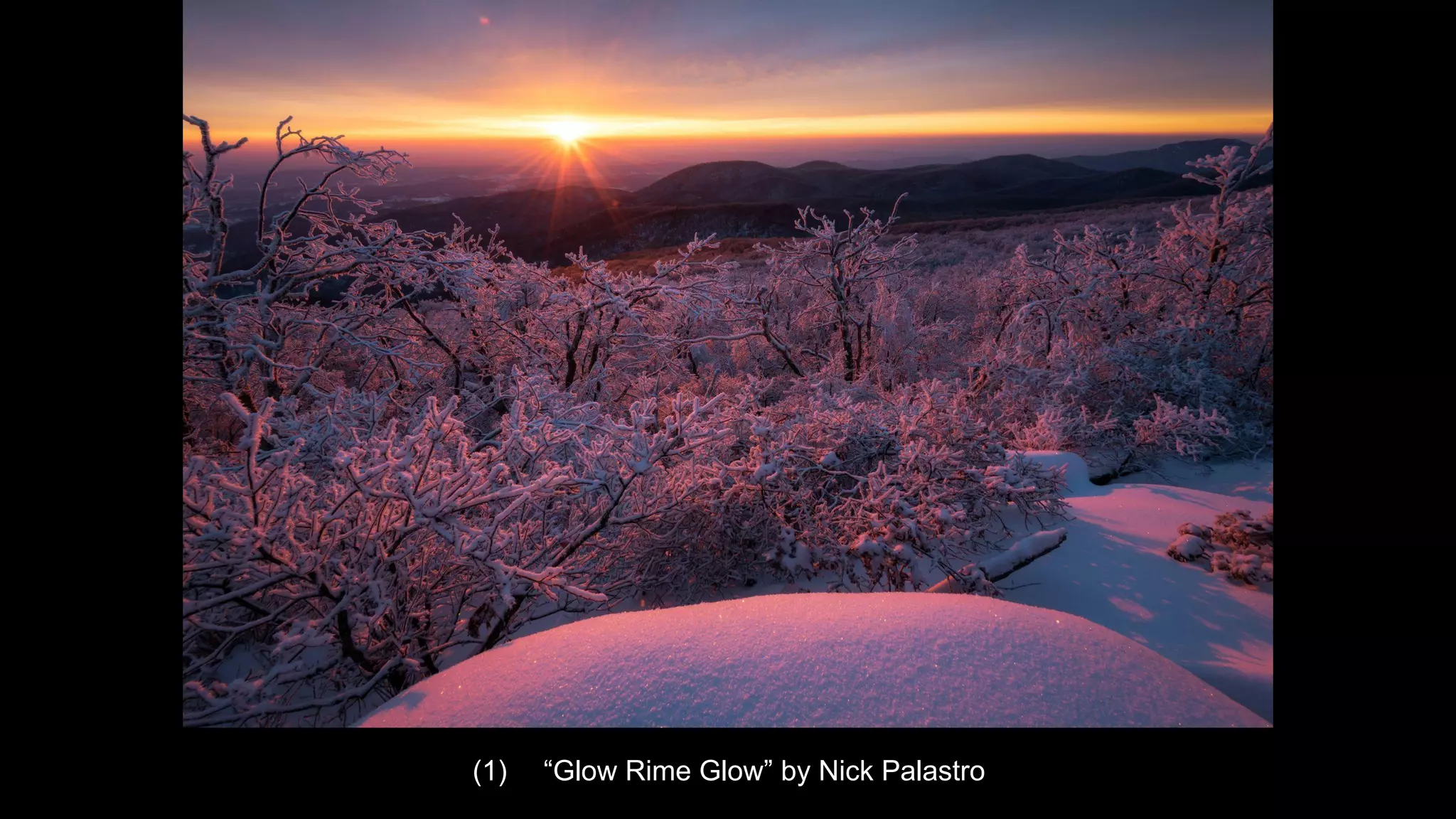 2021 PEC Photo Contest Finalists | PPT