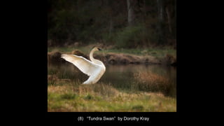 2021 PEC Photo Contest Finalists | PPT