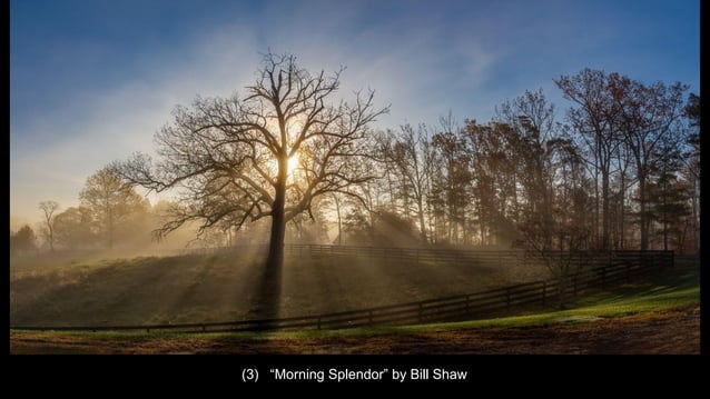 2021 PEC Photo Contest Finalists | PPT