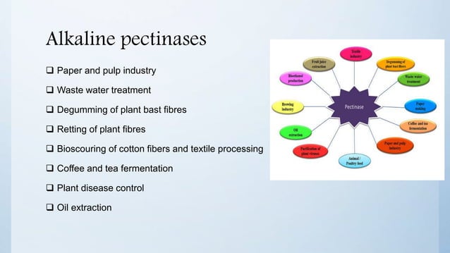 Pectic enzymes | PPTX | Chemistry | Science