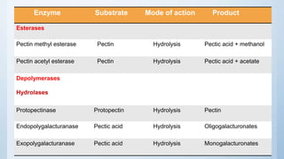 Pectic enzymes | PPTX