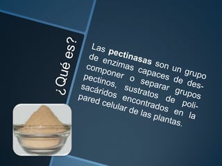 Pectinasa | PPTX