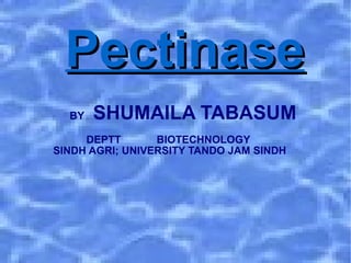 Pectinase | PPT