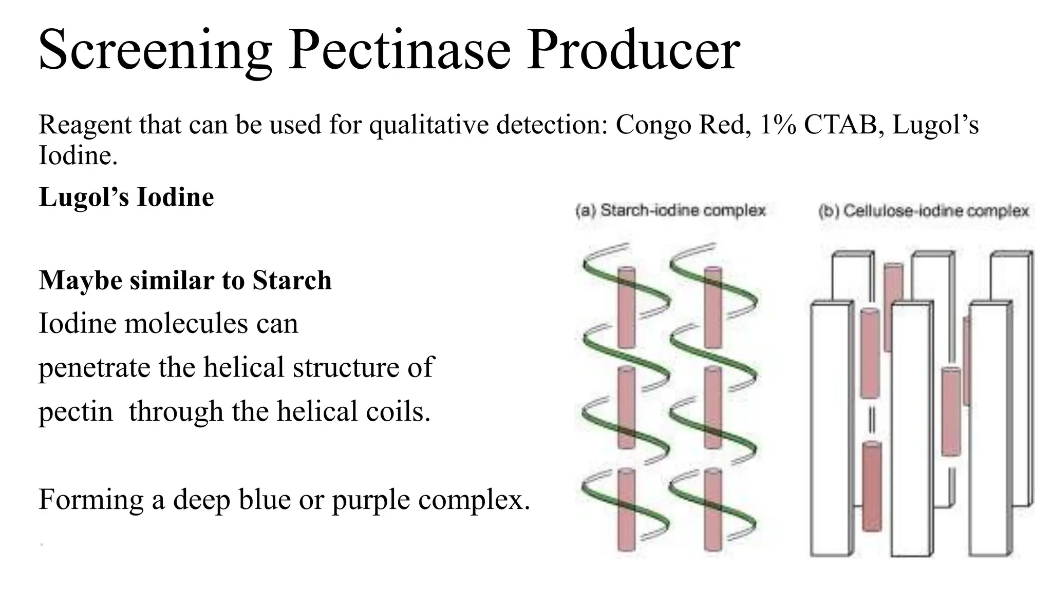 Pectinolytic enzymes like Pectinase.pptx