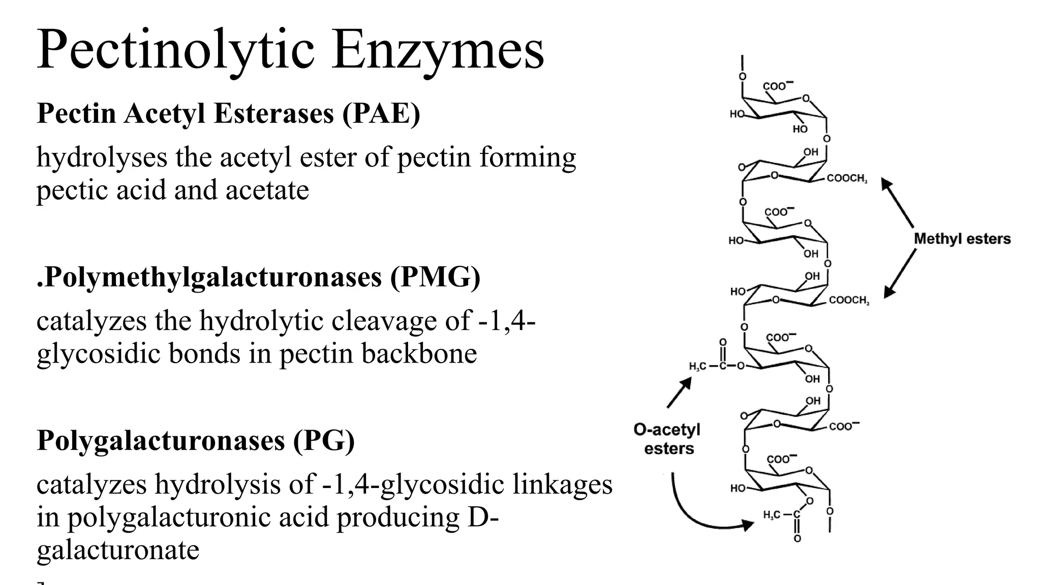 Pectinolytic enzymes like Pectinase.pptx