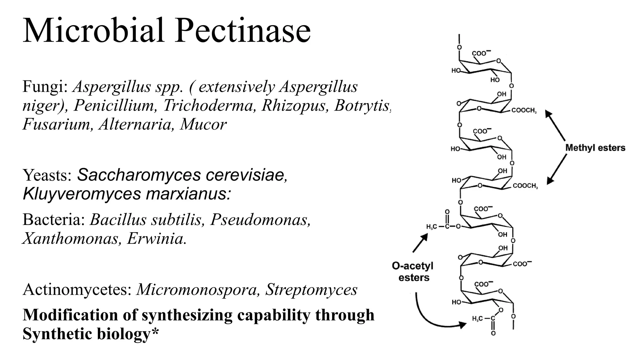 Pectinolytic enzymes like Pectinase.pptx