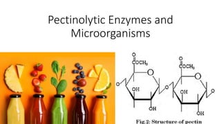 Pectinolytic enzymes like Pectinase.pptx