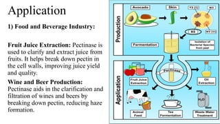 Pectinolytic enzymes like Pectinase.pptx