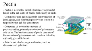 Pectinolytic enzymes like Pectinase.pptx
