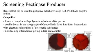 Pectinolytic enzymes like Pectinase.pptx